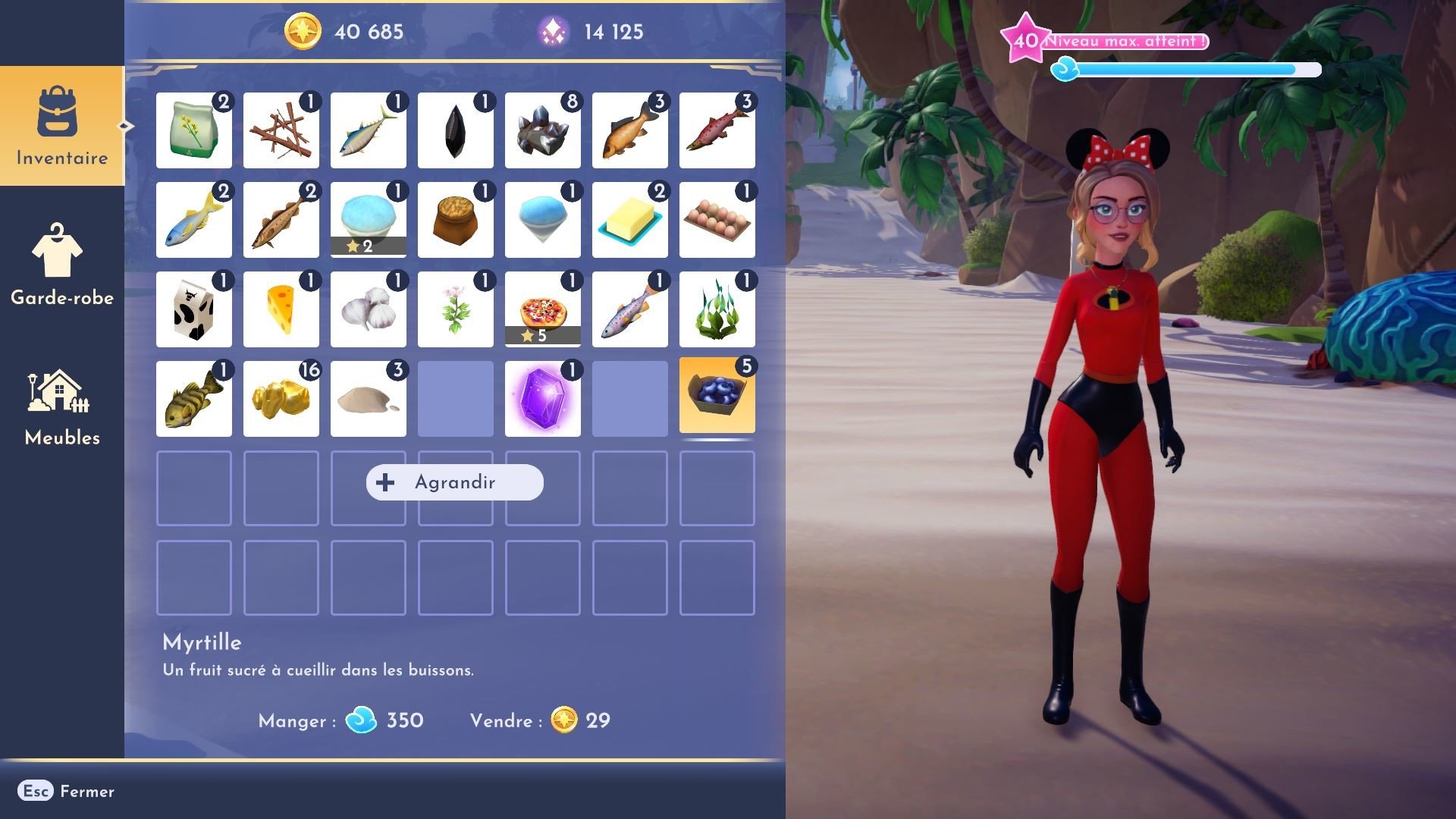 Disney Dreamlight Valley : Quel est le niveau maximal à atteindre ...