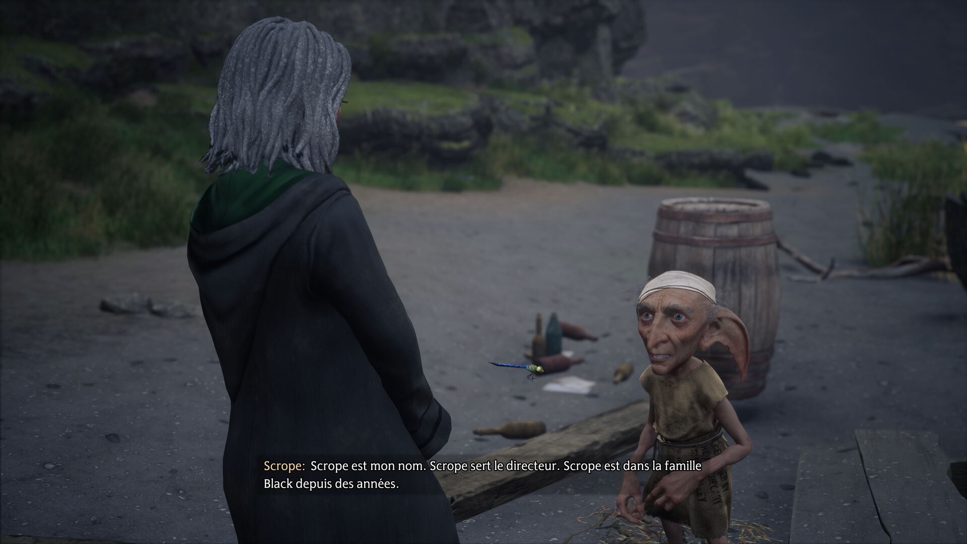 Le dernier espoir de Scrope Hogwarts Legacy : La quête exclusive de ...
