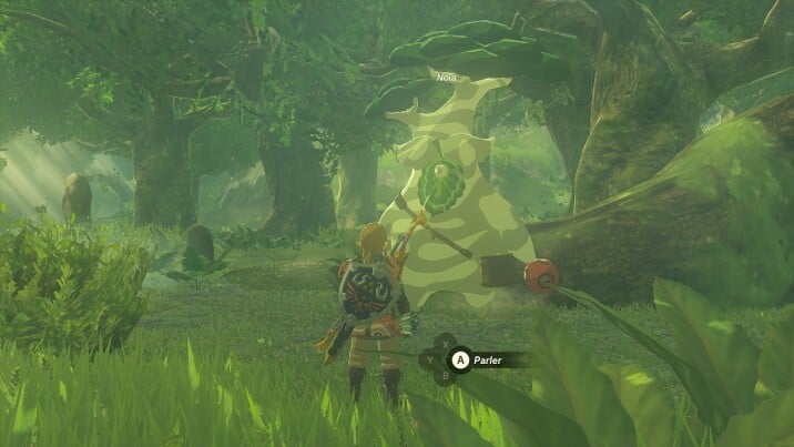 Bois Perdus Zelda Tears of the Kingdom : Comment entrer dans la Forêt ...