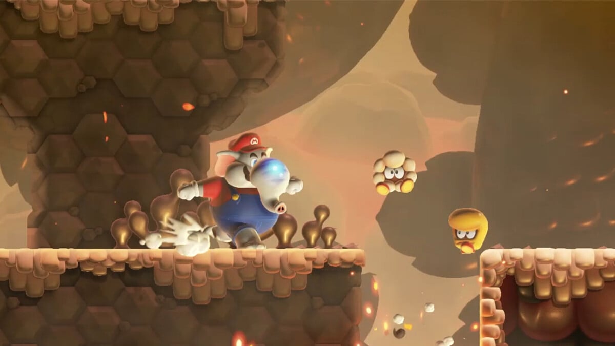 Pavés Rotis Mario Wonder : Sortie secrète, graine prodige, pièces ...
