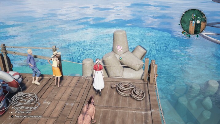 Pampa bonheur FF7 Rebirth, Costa Del Sol : Où tous les trouver pour ...