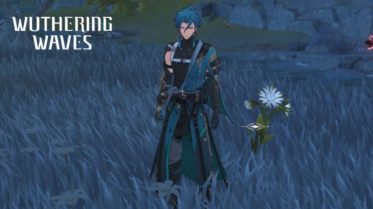 Belle d'hiver Wuthering Waves : Où trouver des Wintry Bell et à quoi ça ...