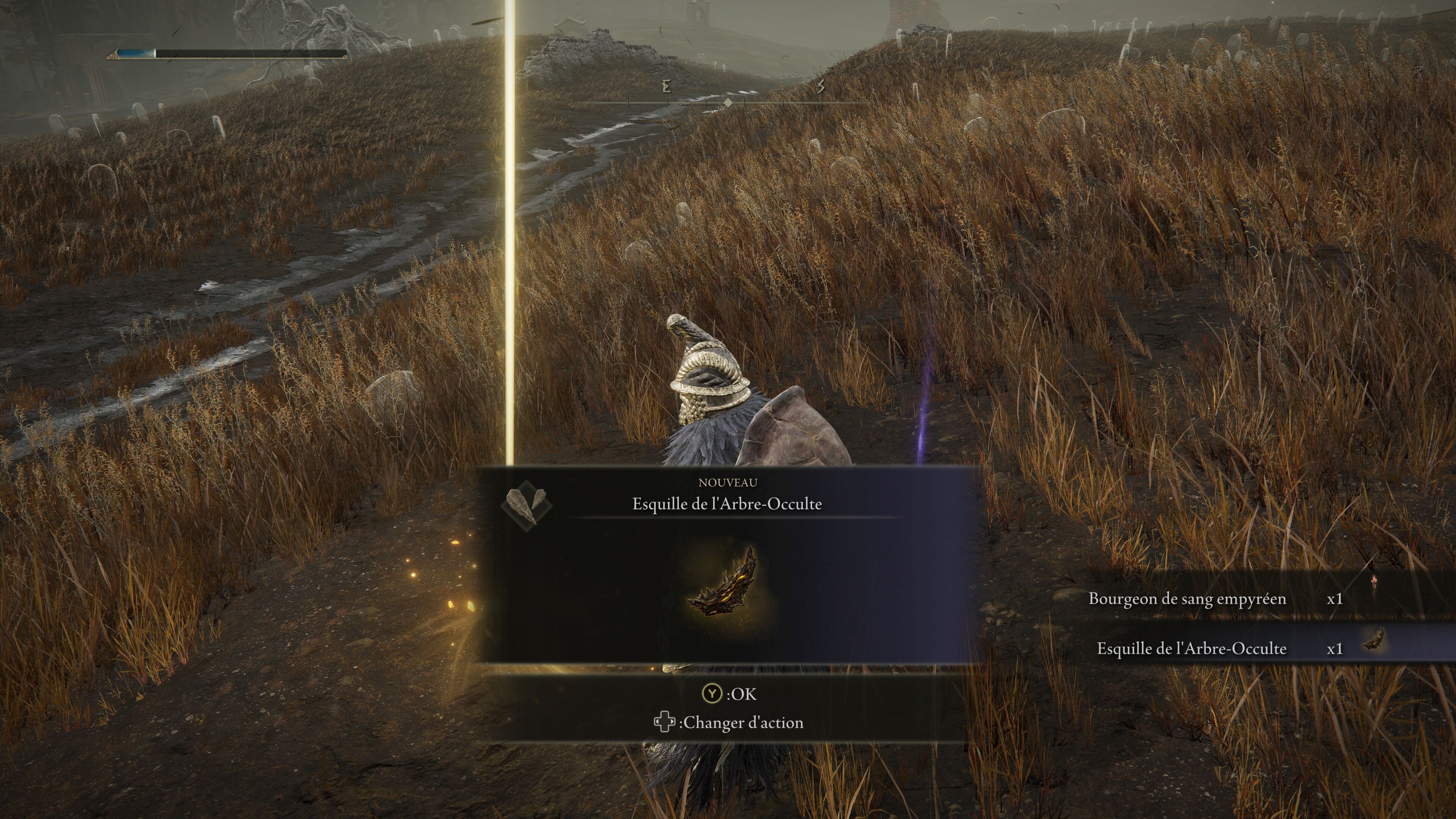 Bénédictions du Royaume des ombres Elden Ring Shadow of the Erdtree : Où trouver des Esquilles ...