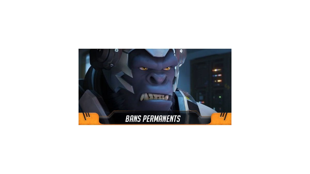 Overwatch - Bans permanents - Millenium