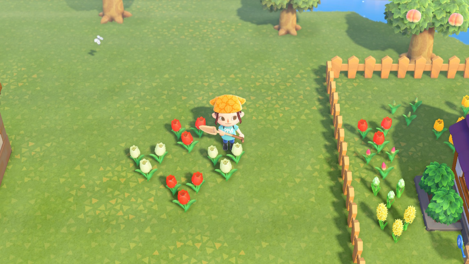 Fleurs Animal Crossing New Horizons : Liste complète, comment les ...