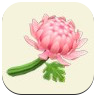 Fleurs Animal Crossing New Horizons : Liste complète, comment les ...