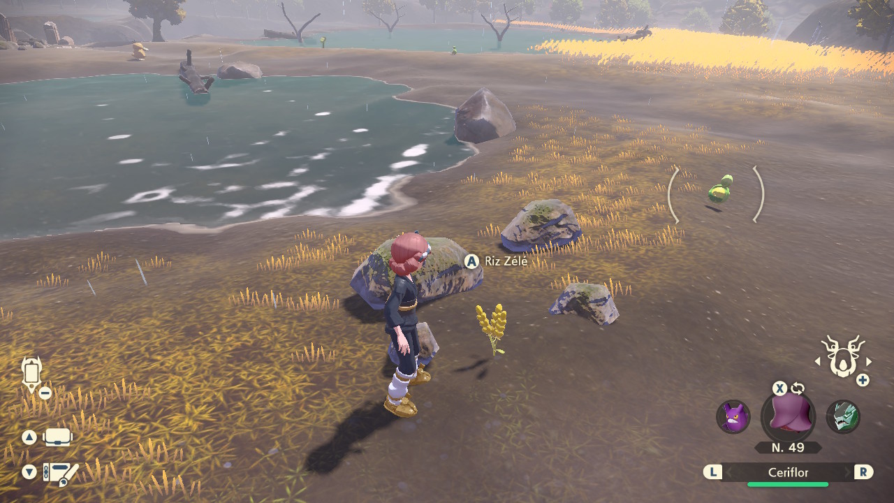 Riz Zélé Pokémon Arceus : Où trouver cette ressource sur la carte ...