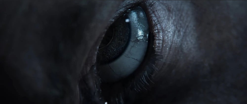 Godwyn Elden Ring : Position, lore et explications - Millenium