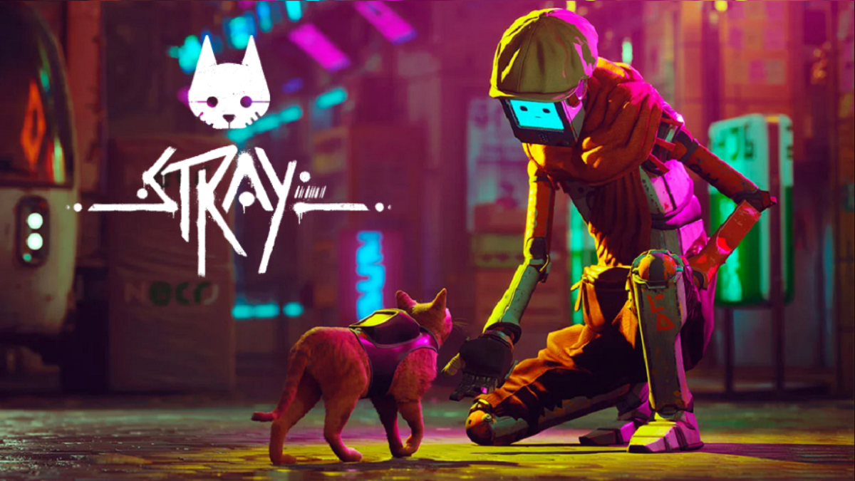 Stray : Les français derrière le jeu souhaitent venir en aide aux chats ...