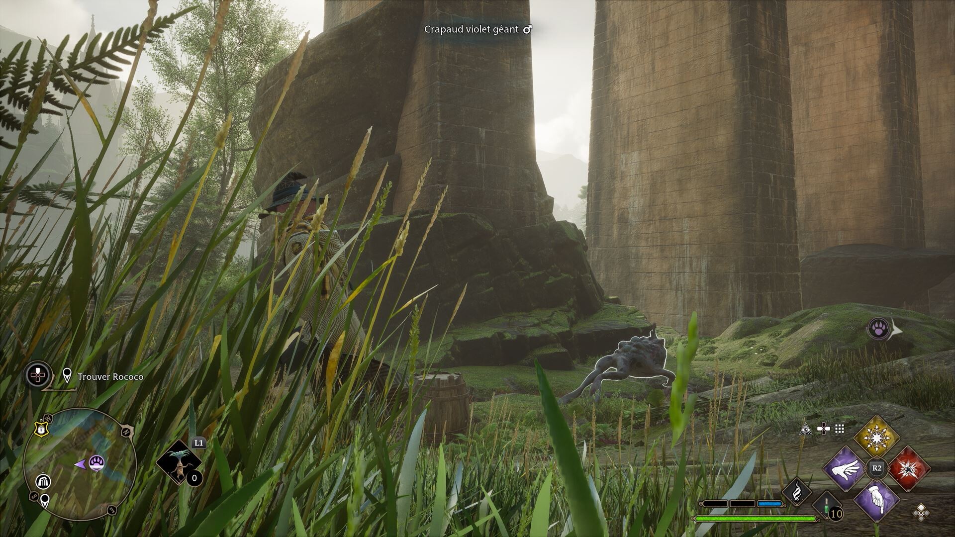 Crapaud géant violet Hogwarts Legacy : Lieu capture, coloris... Tout ...