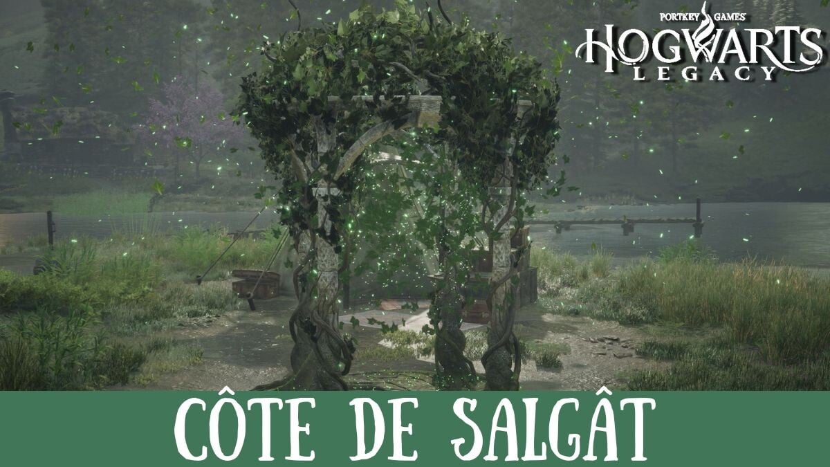 Épreuve de Merlin Hogwarts Legacy, Côte de Salgât : Comment résoudre ...