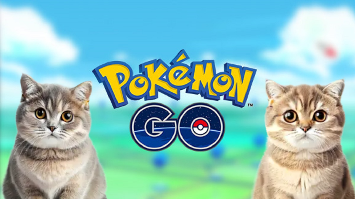 Pokémon GO : Ce chat beaucoup trop mignon devient une star sur les ...
