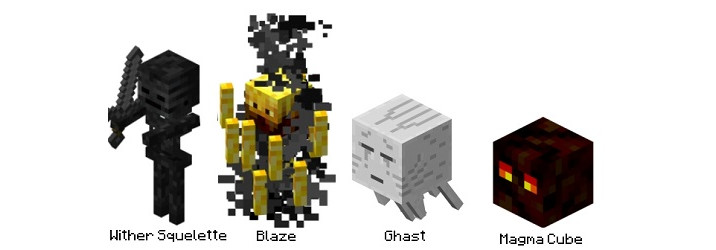 Les ressources - Minecraft : Le guide pour débuter - Millenium