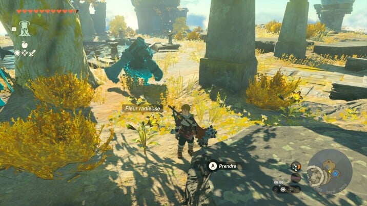 Fleur radieuse Zelda Tears of the Kingdom : Où trouver cet ingrédient primordial pour soigner le ...