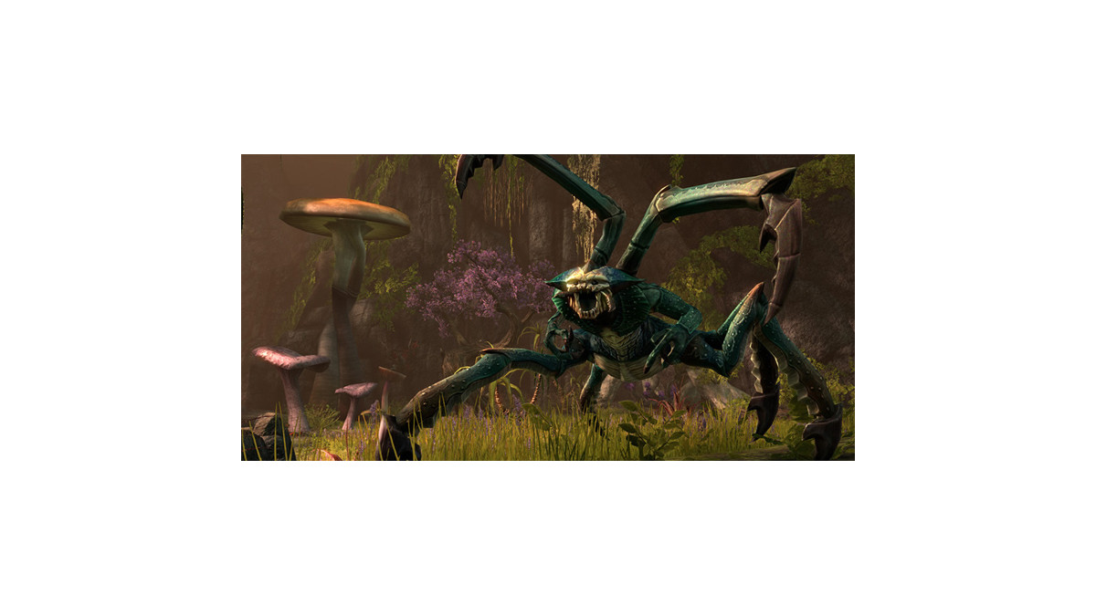 TESO se dévoile un peu plus avant l'E3 - Millenium