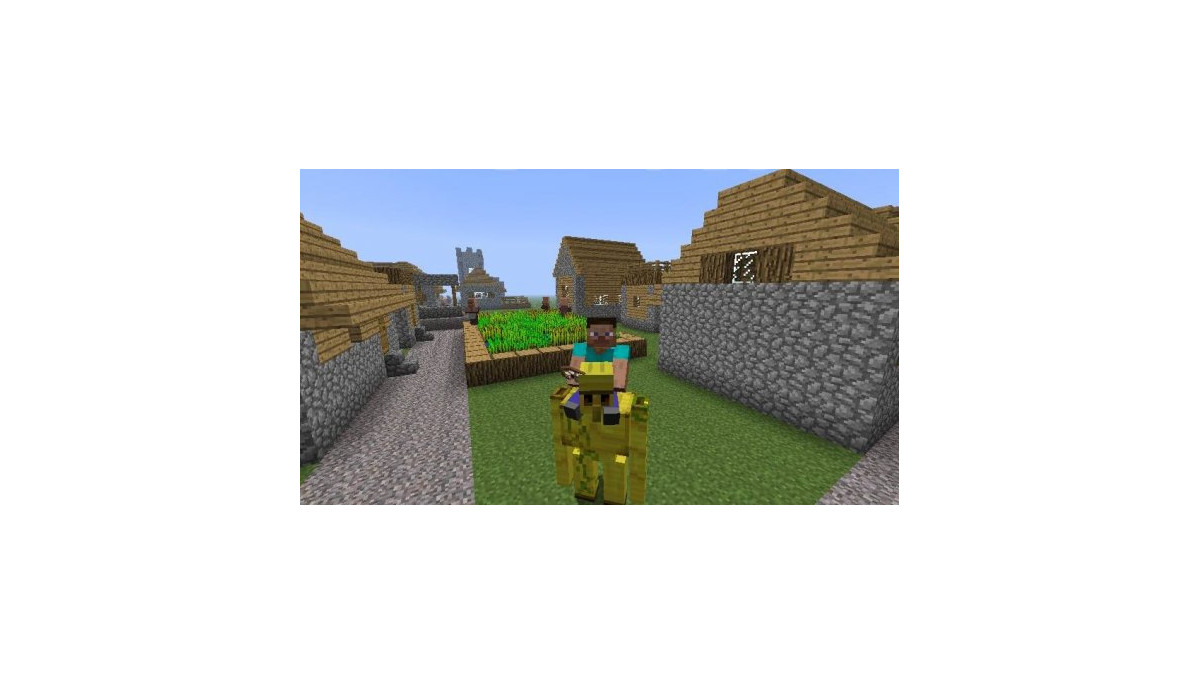 Comment cultiver du blé - Millenium