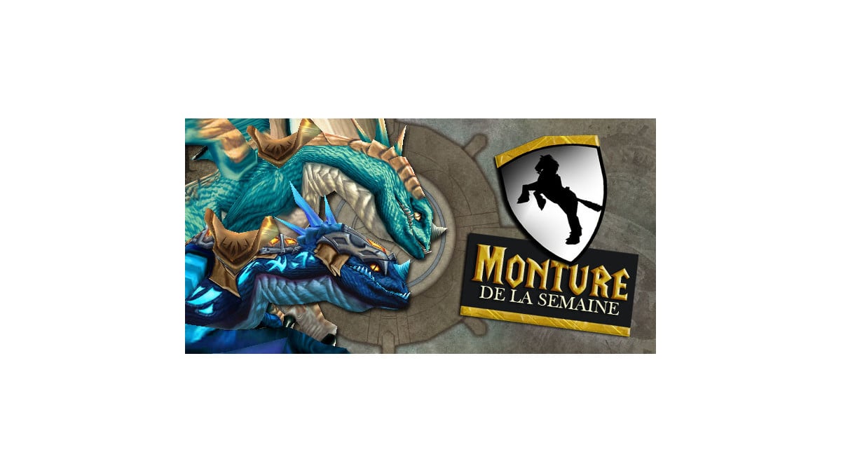 Monture : Drake bleu et drake azur - Millenium