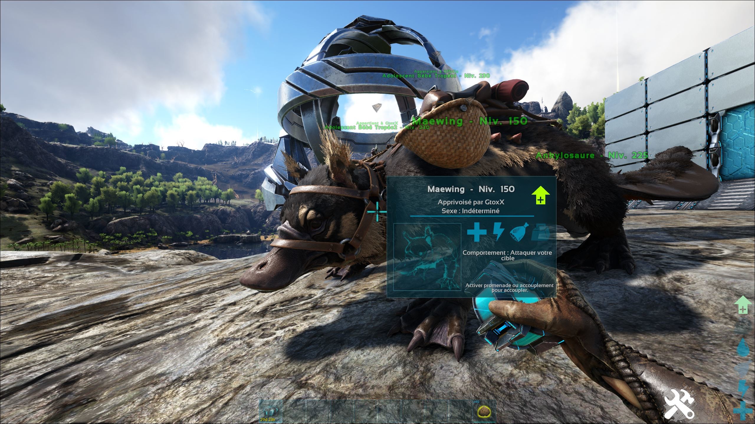 Dimorphodon Ark : Comment l'apprivoiser, localisation... Tout savoir ...