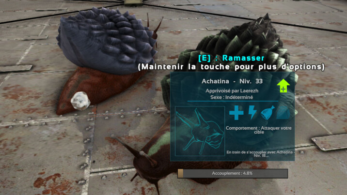Achatina Ark : Comment l'apprivoiser, localisation... Tout savoir sur ...