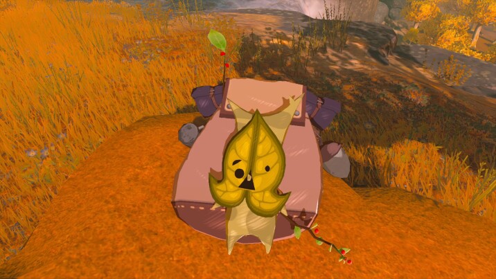 Retrouver l'ami du Korogu Zelda Tears of the Kingdom : Comment les ...