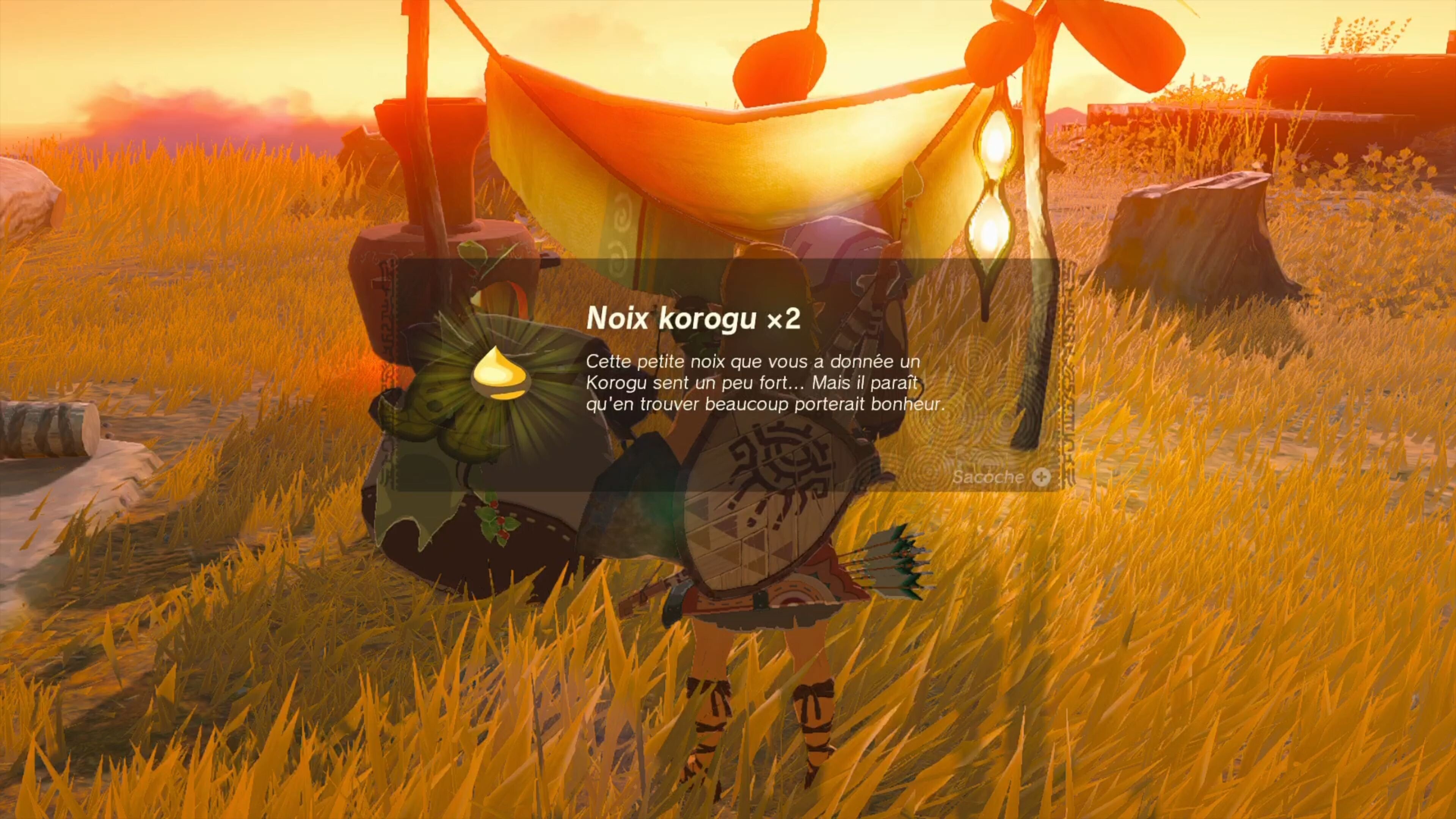 Retrouver l'ami du Korogu Zelda Tears of the Kingdom : Comment les ...