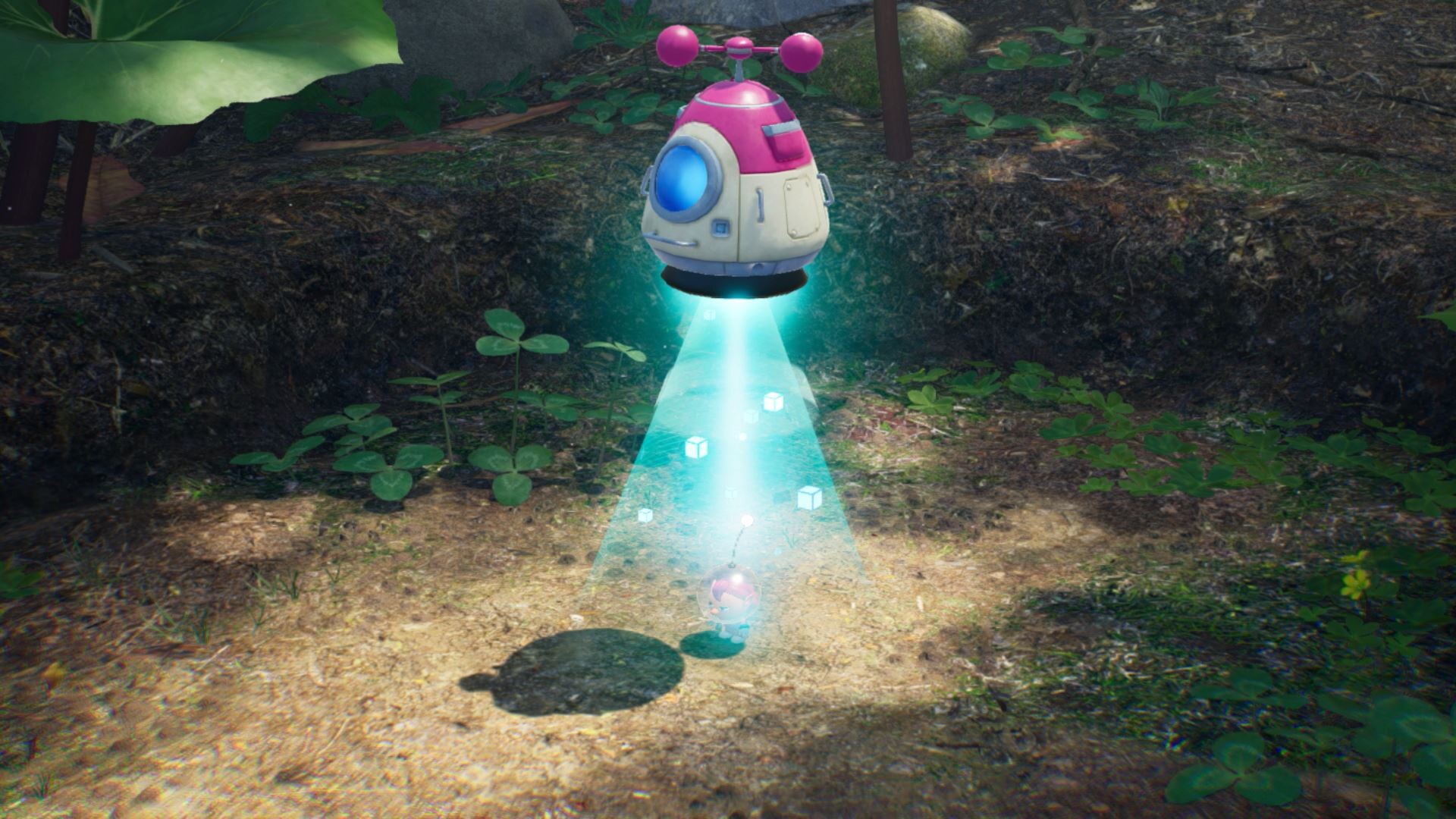 Test de Pikmin 4 : Des fleurs, du fun mais une formule qui commence à ...