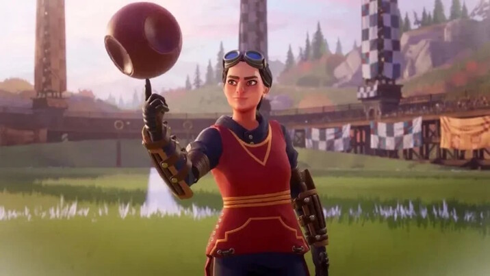 Rôle Harry Potter Champions de Quidditch : Gardien, Poursuiveur ...