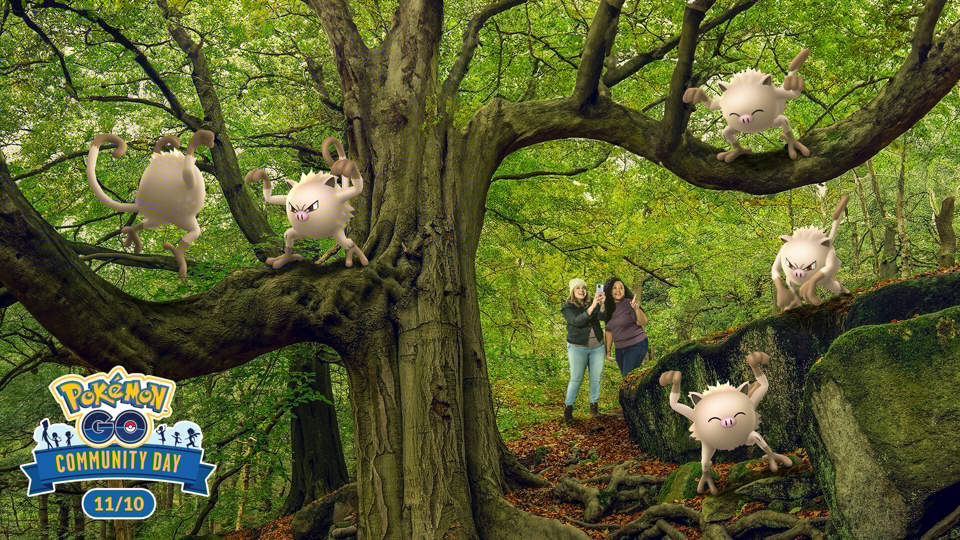 Férosinge Pokémon GO : Shiny, Courrousinge, bonus... Tout savoir sur le ...