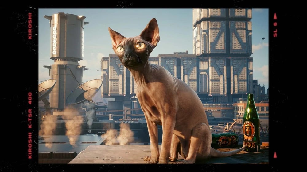 Nibbles Cyberpunk 2077 : Position, comment obtenir le chat ? - Millenium