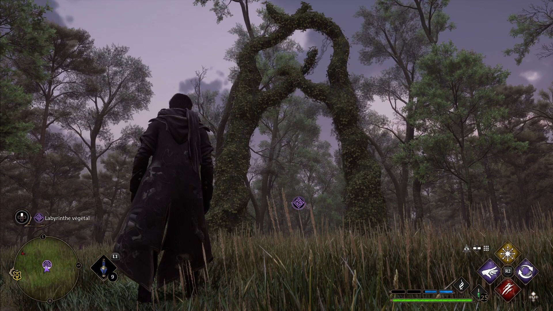 Labyrinthes Hogwarts Legacy : Leur position, comment entrer et trouver ...