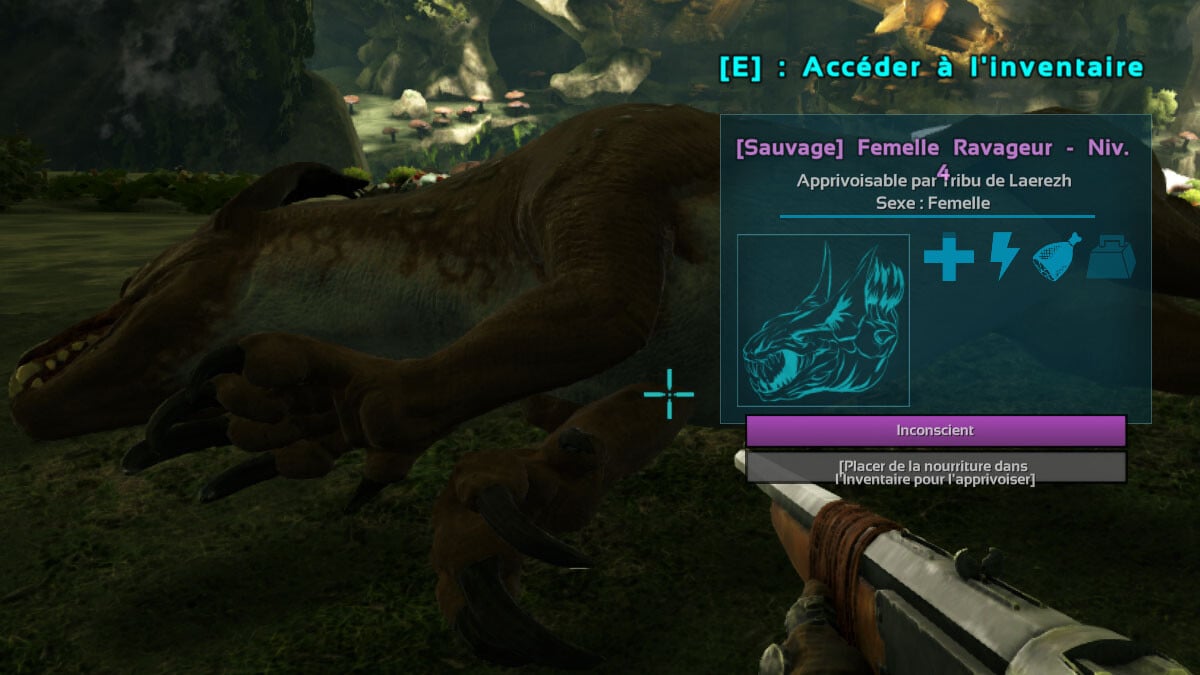 Ravageur Ark : Comment l'apprivoiser, localisation... Tout savoir sur ...