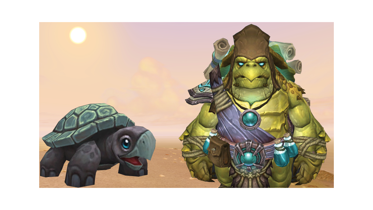 WoW BFA : L'impact écologique des expéditions des Chercheurs Tortollans ...