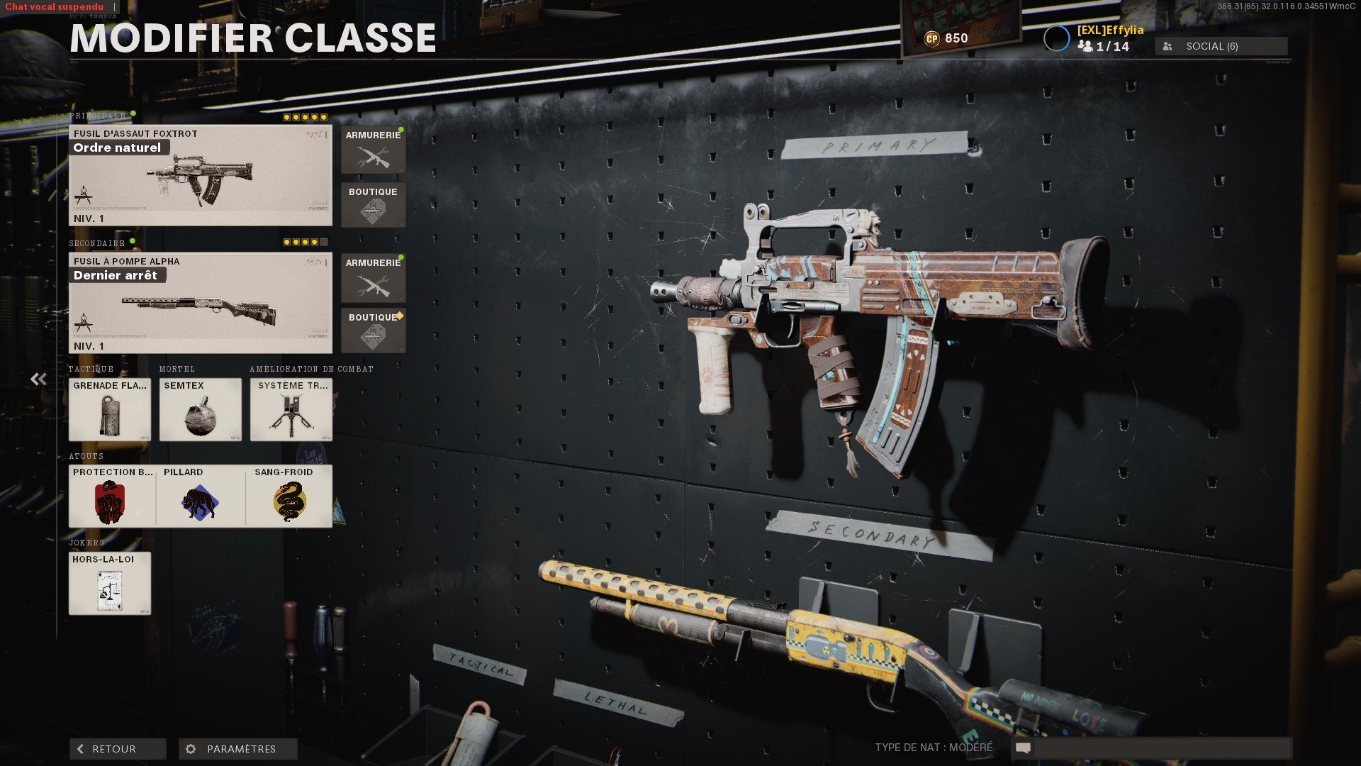 Quelle est la meilleure classe pour la DMR 14 sur Black Ops Cold War ...