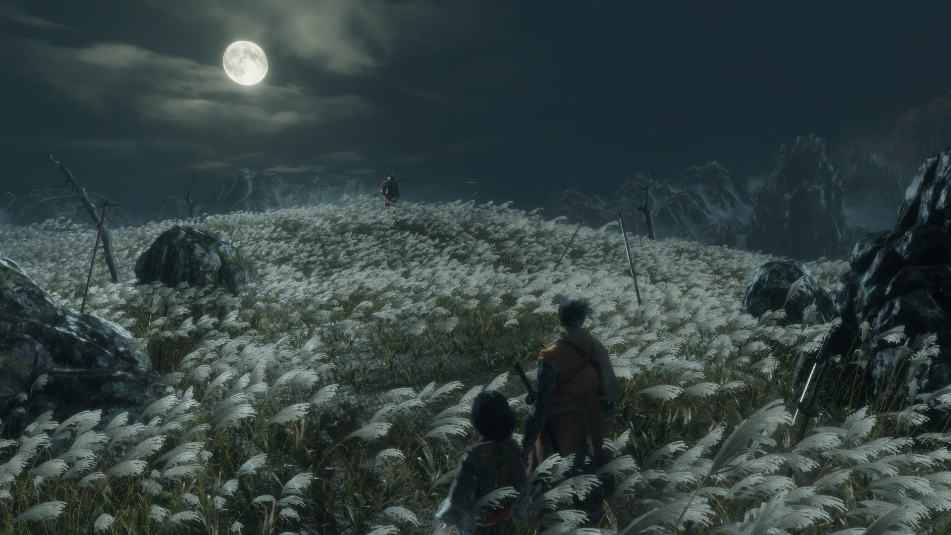 Test de Sekiro Shadows Die Twice sur PC, PS4, Xbox One - Millenium
