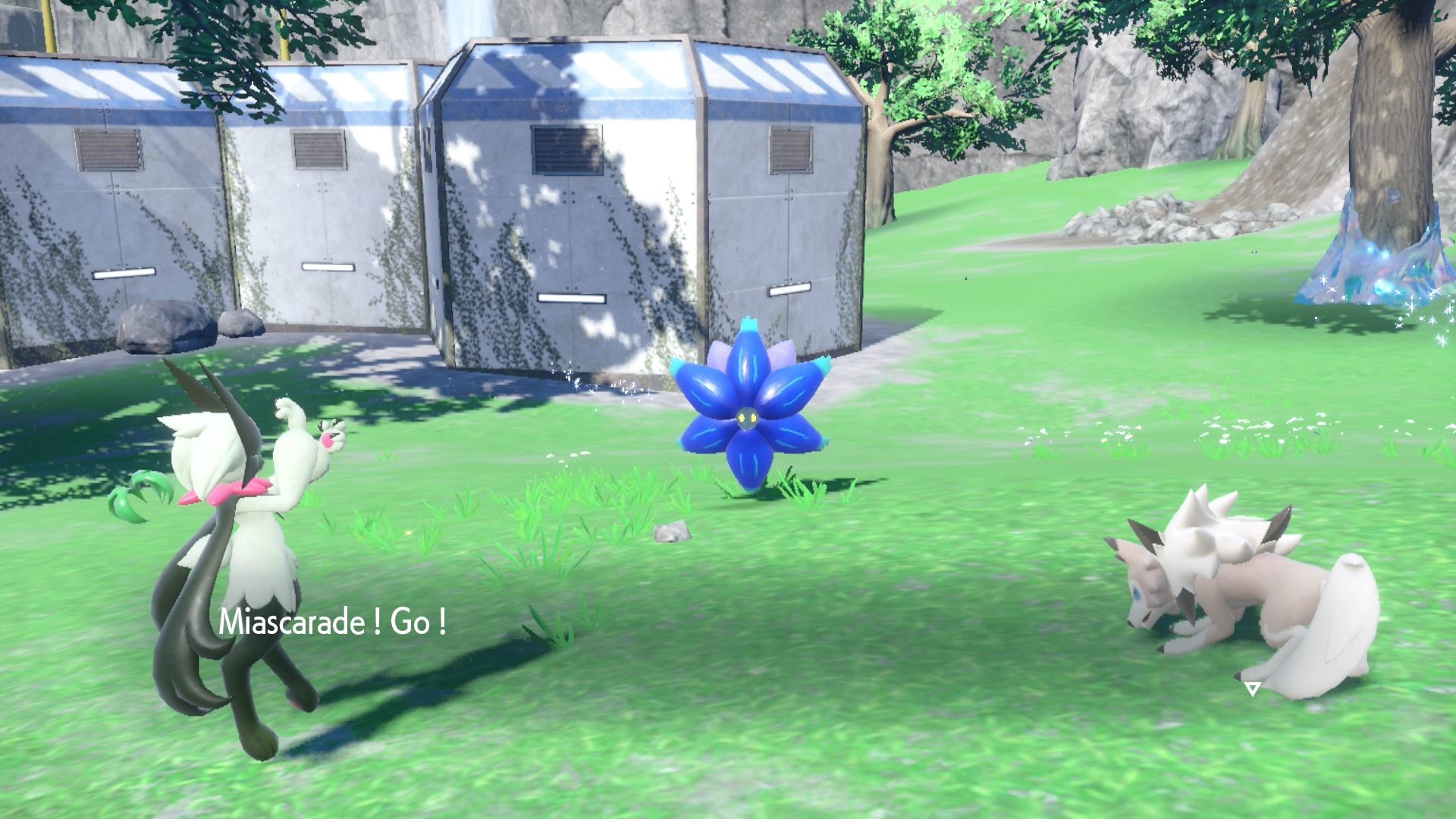 Pokémon Écarlate et Violet : Cratère de Paldea, Zone Zéro... La Soluce ...