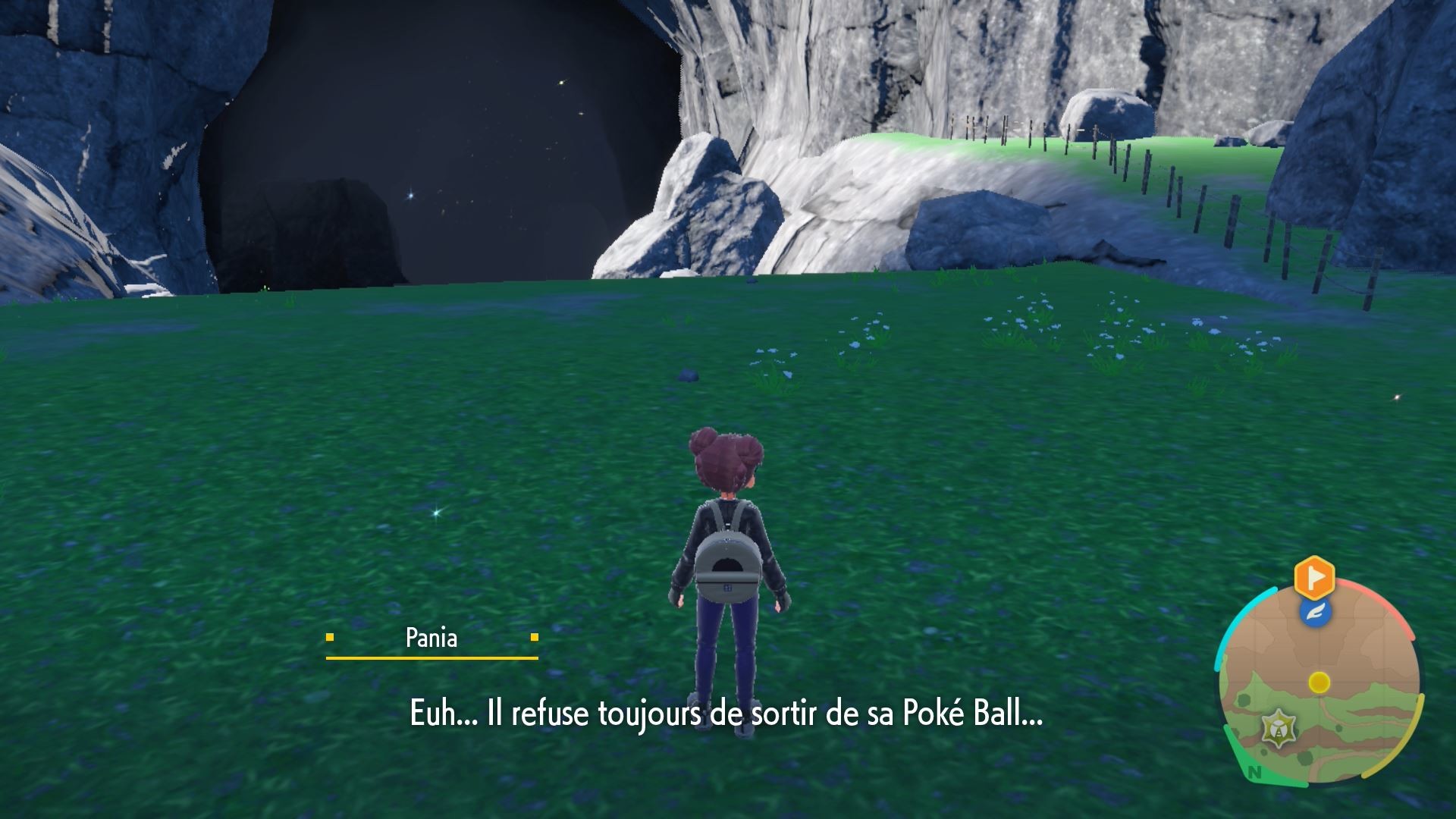 Pokémon Écarlate et Violet : Cratère de Paldea, Zone Zéro... La Soluce ...