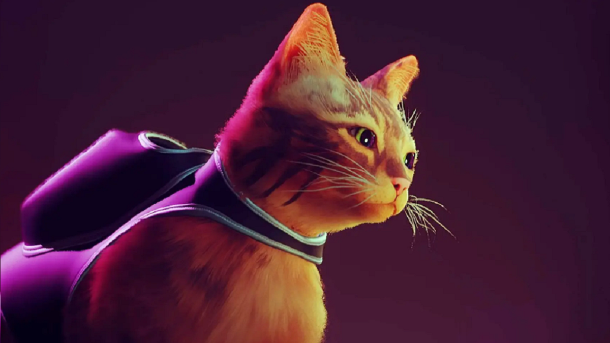 "Nous voulons rendre justice à cette adaptation", acclamé par les ...