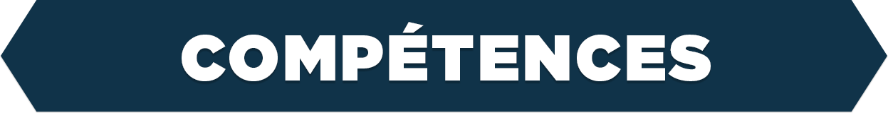 Miss Fortune ADC S12 : build, runes et stuff - Guide LoL - Millenium