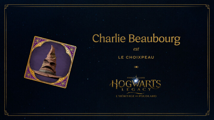 Doublage Hogwarts Legacy : Adeline Chetail, Cédric Dumond... Le Casting ...