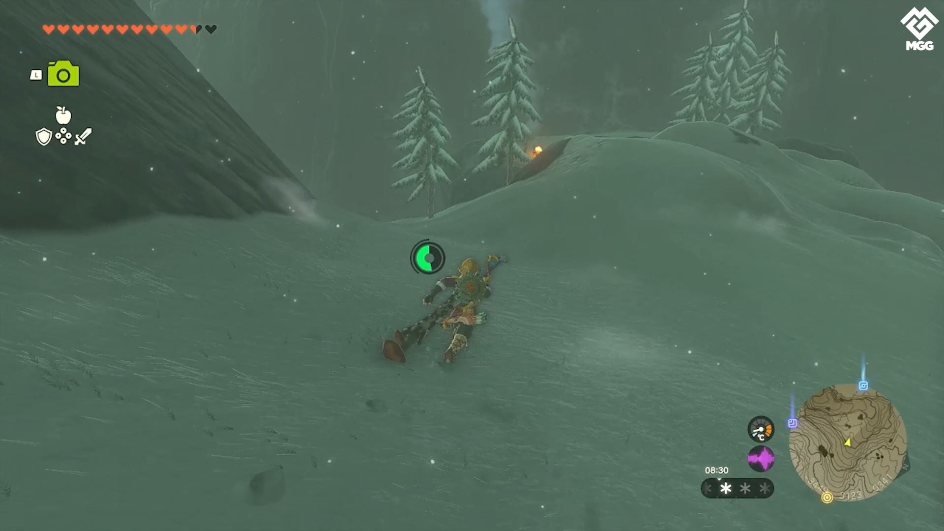 L'impératrice disparue Zelda Tears of the Kingdom : Où trouver Selmie ...