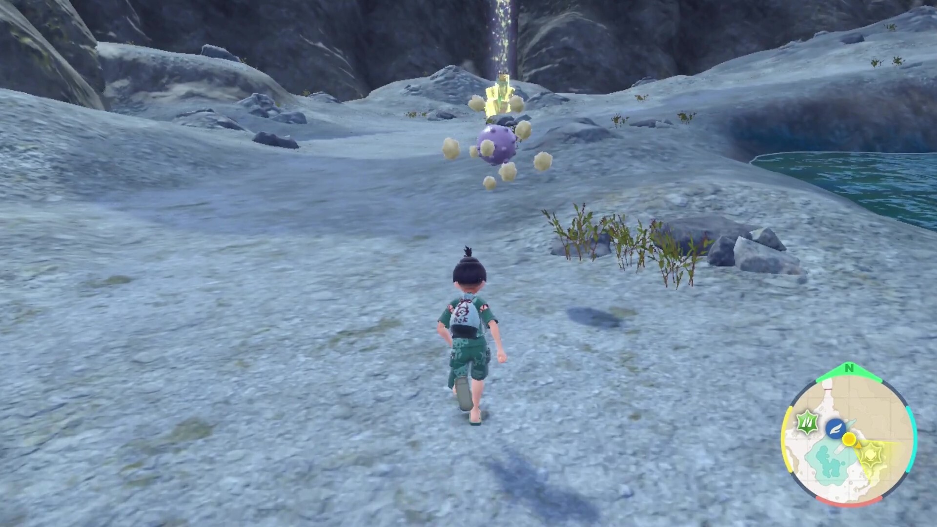 Smogo Pokémon Écarlate et Violet : Où le trouver et comment le faire évoluer en Smogogo dans le ...