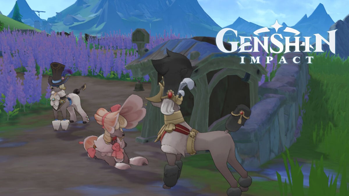 Sur un champ d'herbes fleuries Genshin Impact : Comment obtenir et ...