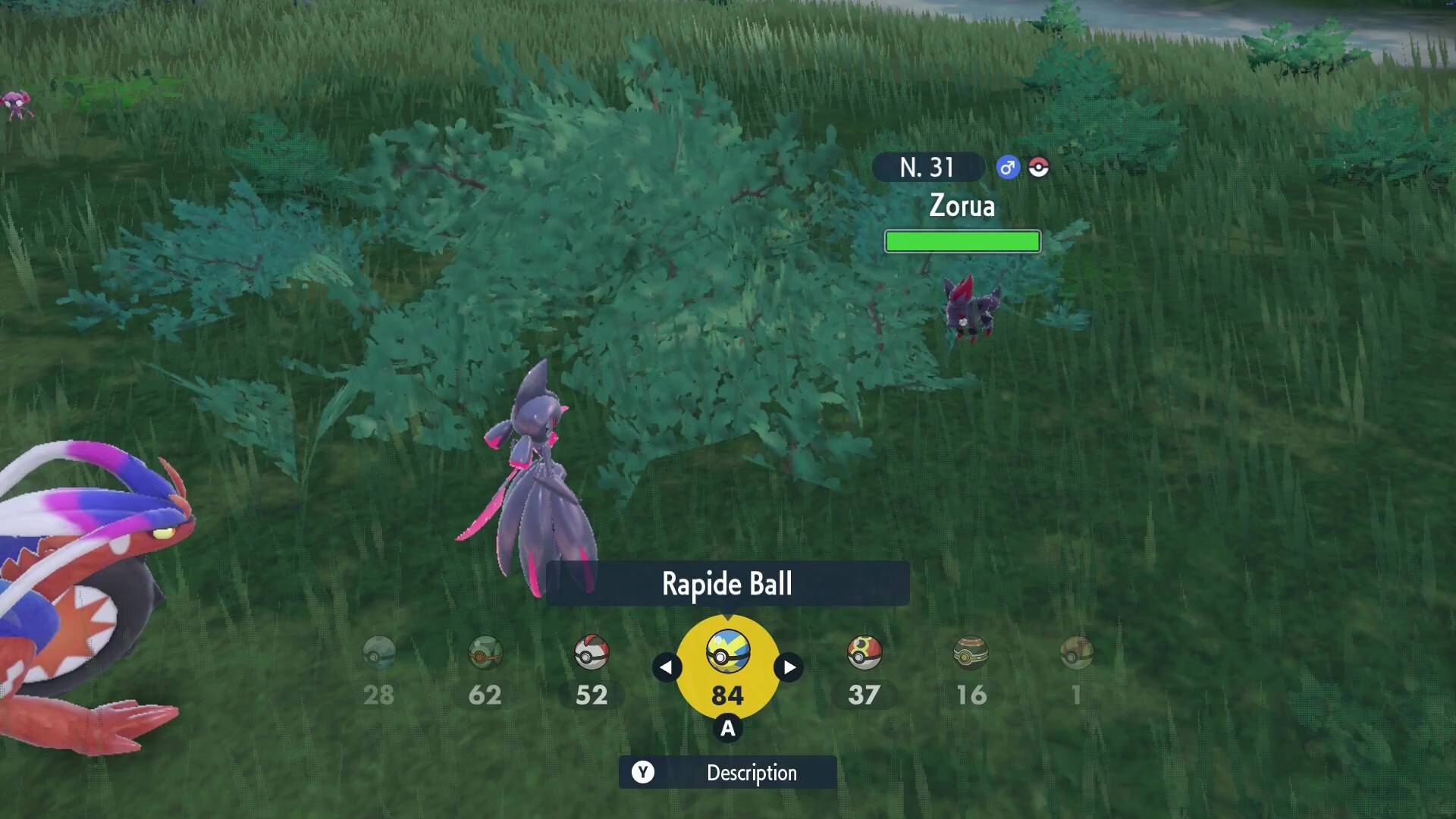 Zoroark Pokémon Écarlate et Violet : Comment obtenir Zorua et le faire ...