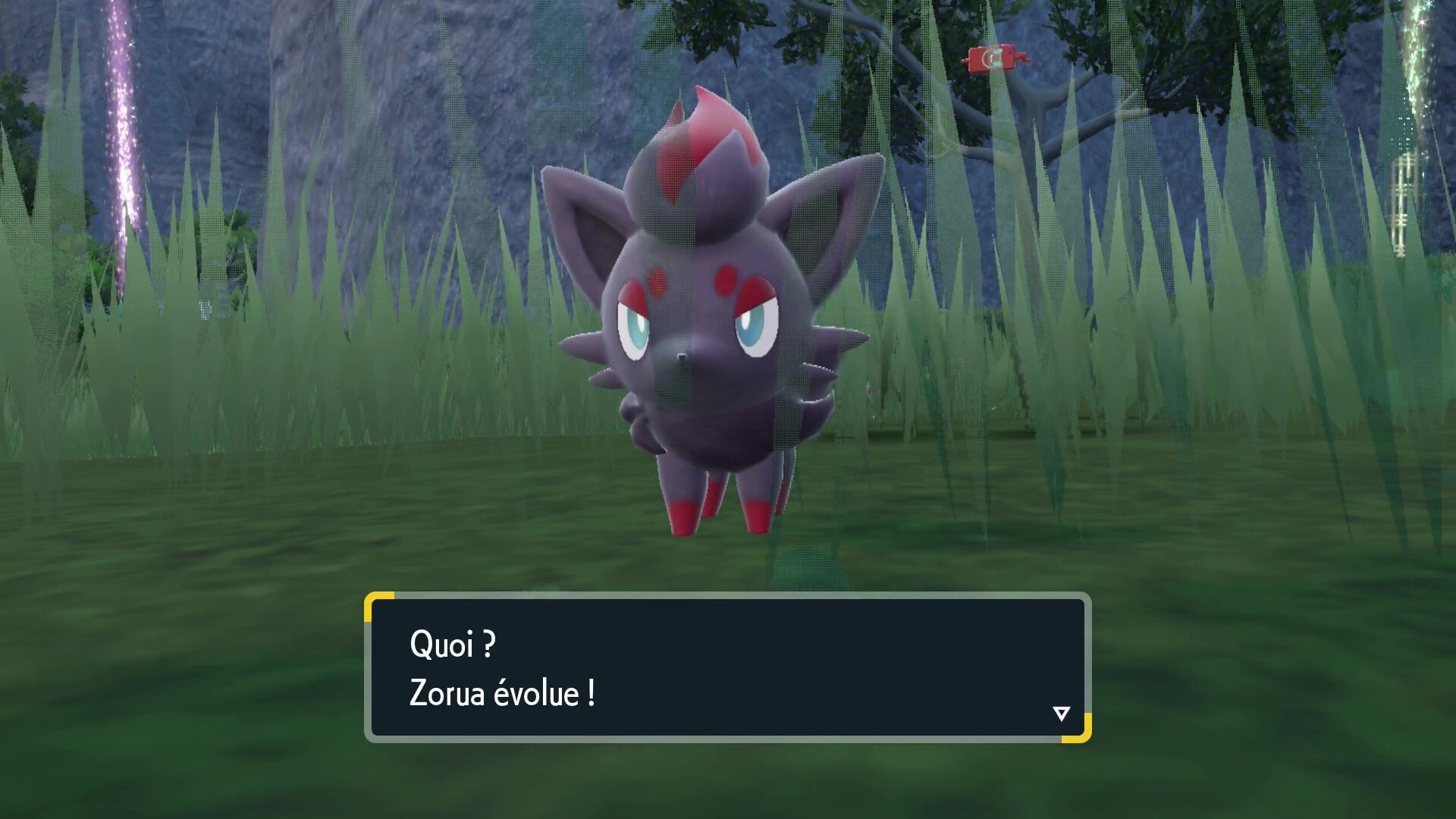 Zoroark Pokémon Écarlate et Violet : Comment obtenir Zorua et le faire ...