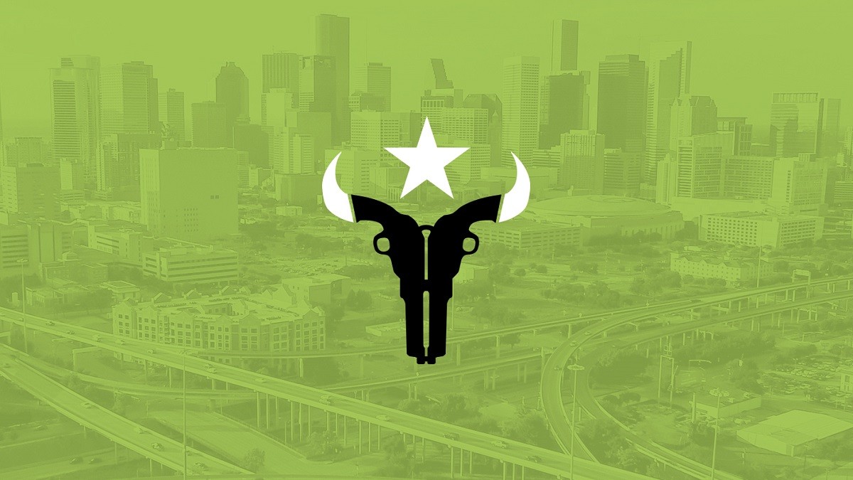 Overwatch League équipe de Houston Outlaws : composition, roster, nom ...