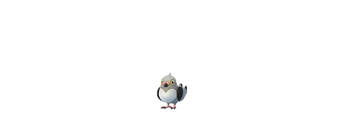 Poichigeon Pokémon GO : Shiny, bonus... Bien profiter de l'heure ...