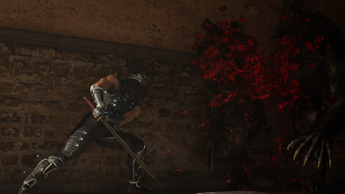 Attention à votre machine si vous voulez jouer à Ninja Gaiden 2 Black ...