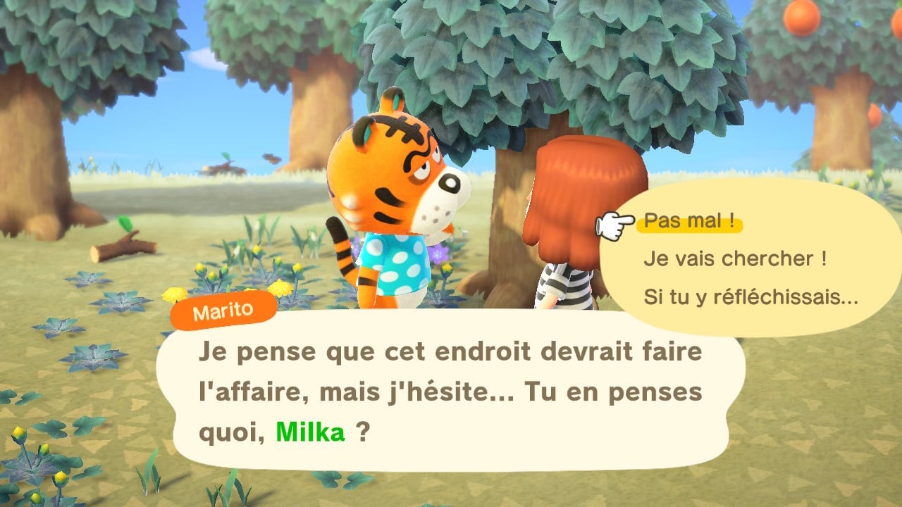 Soluce Animal Crossing New Horizons : début de l'aventure et que faire ? - Millenium