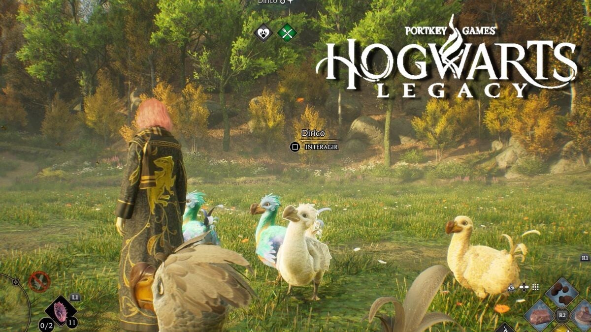 Dirico Hogwarts Legacy : Lieu de capture, coloris, shiny... Tout savoir ...