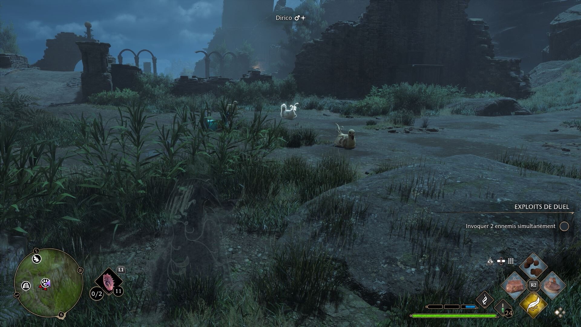 Dirico Hogwarts Legacy : Lieu de capture, coloris, shiny... Tout savoir ...